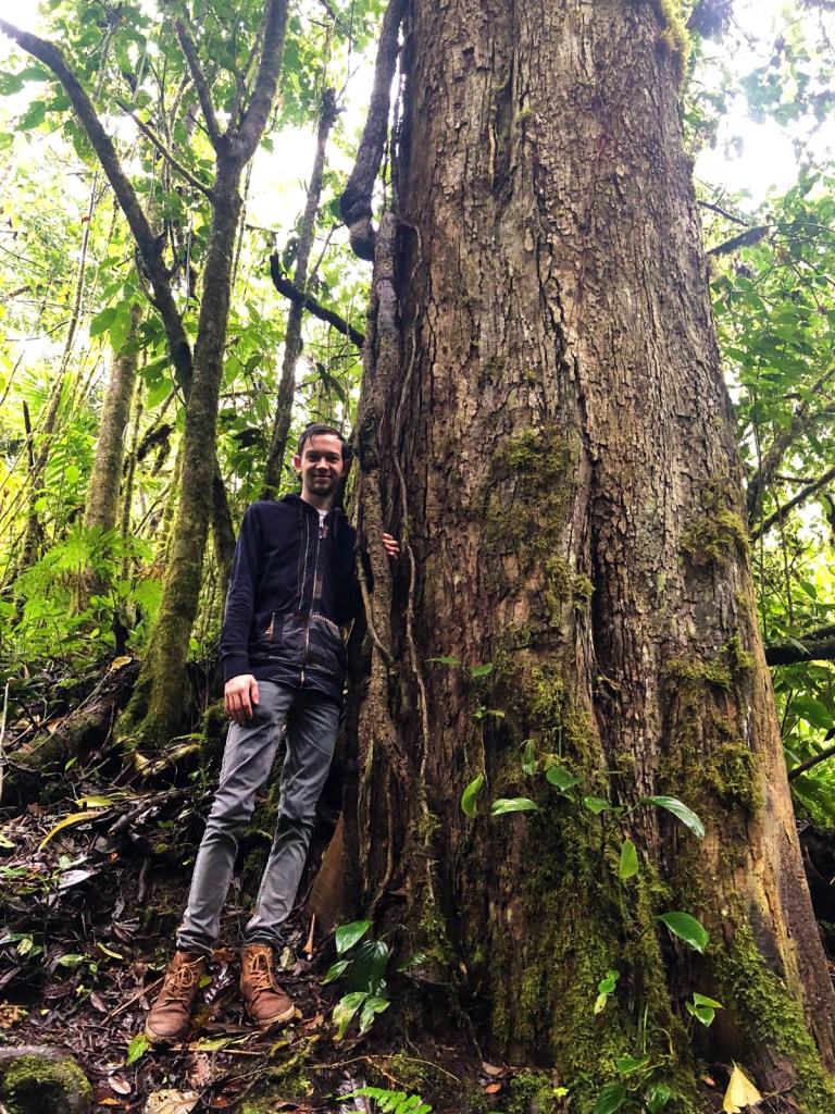 4 activities to do in Panama during summer – Living with purpose